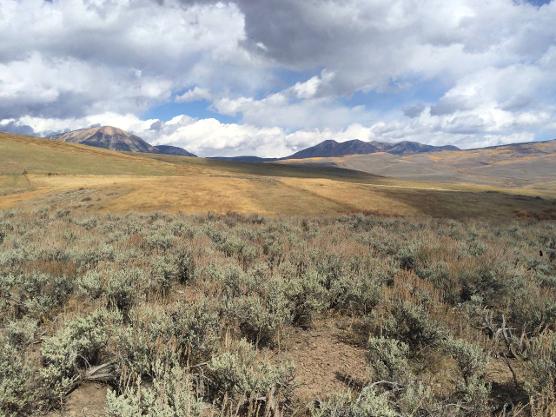 Gunnison Ranchland Conservation Legacy